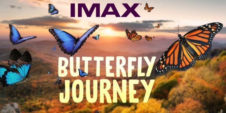 Telus World of Science – Butterfly Journey | CISN Country Edmonton